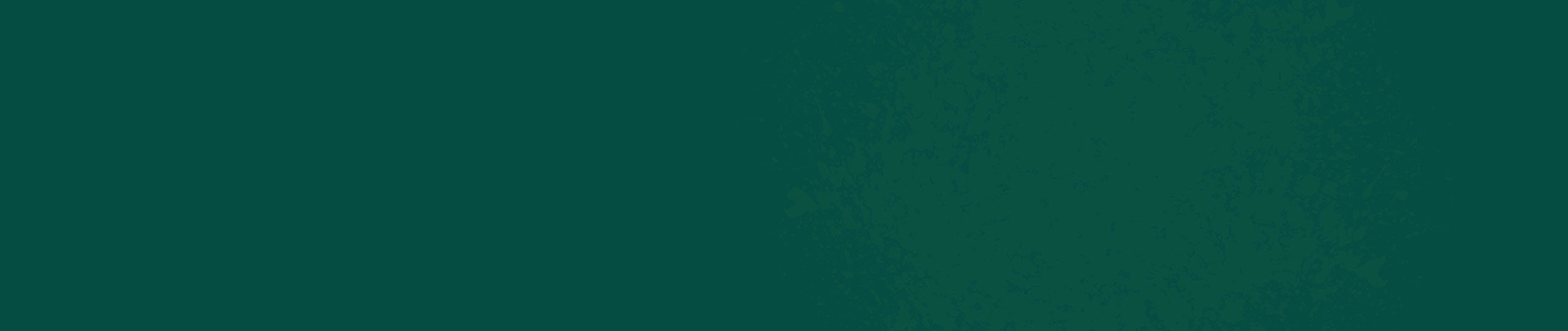 cherp studio - Parrot Fish Studio